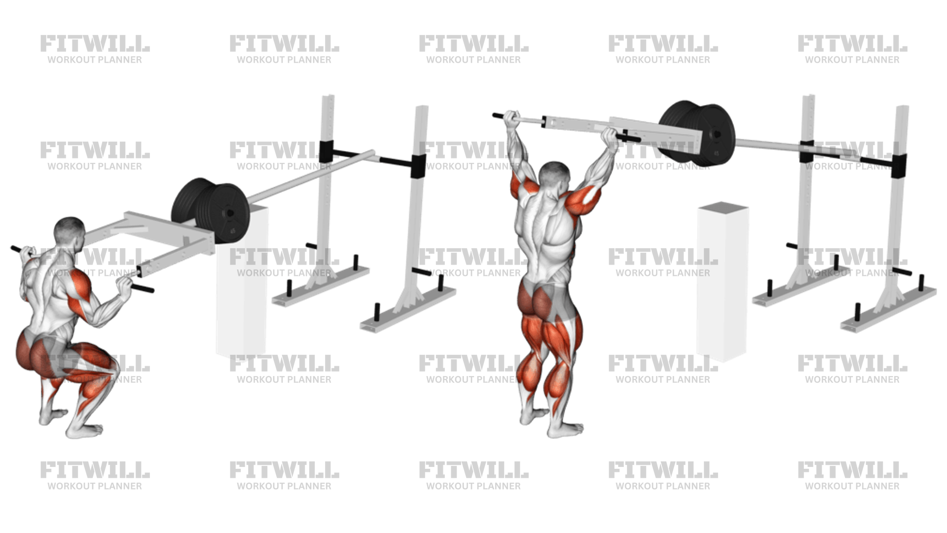 StrongMan Viking Press: Exercise Guide, Techniques, Benefits, How to ...