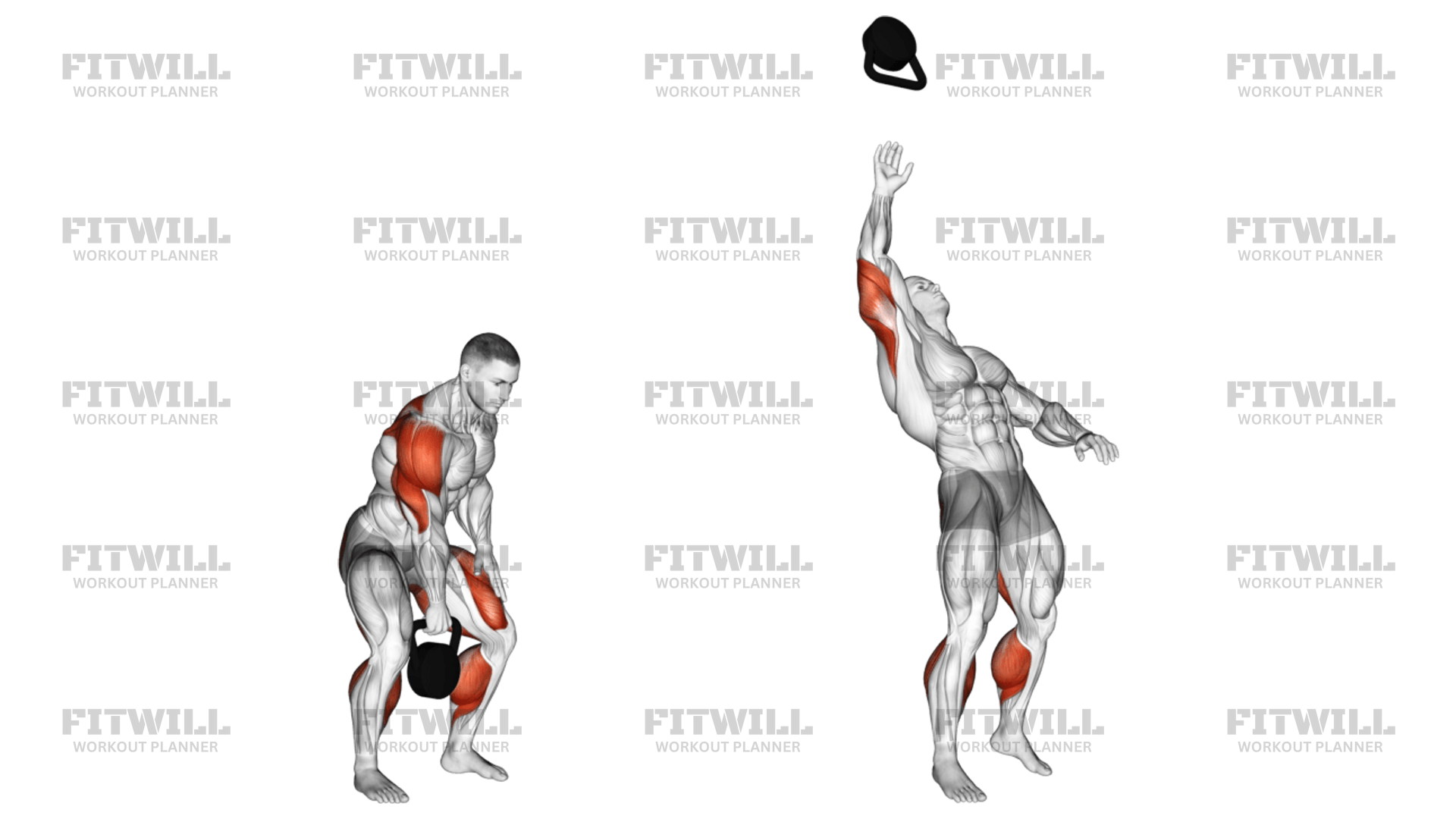 Strongman Weight For Height: Exercise Guide, Techniques, Benefits, How ...