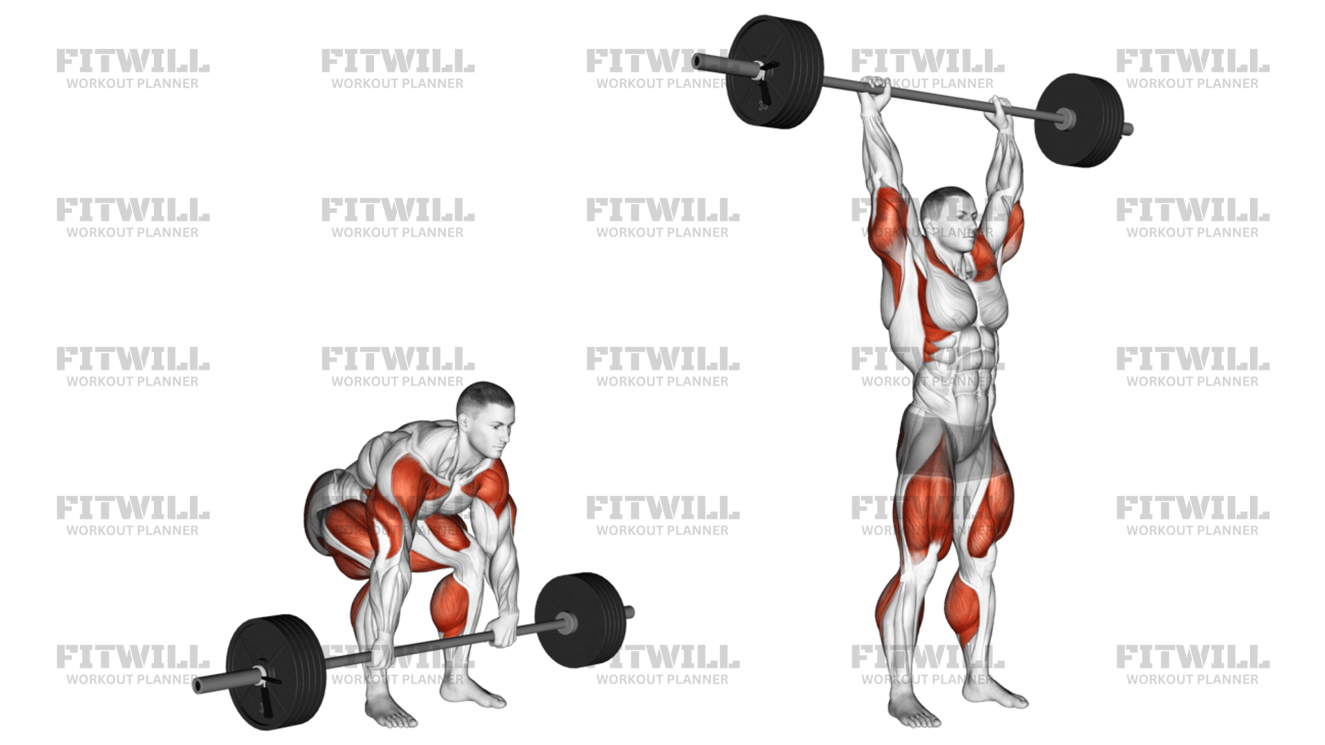 StrongMan Apollons Axle: Exercise Guide, Techniques, Benefits, How to ...