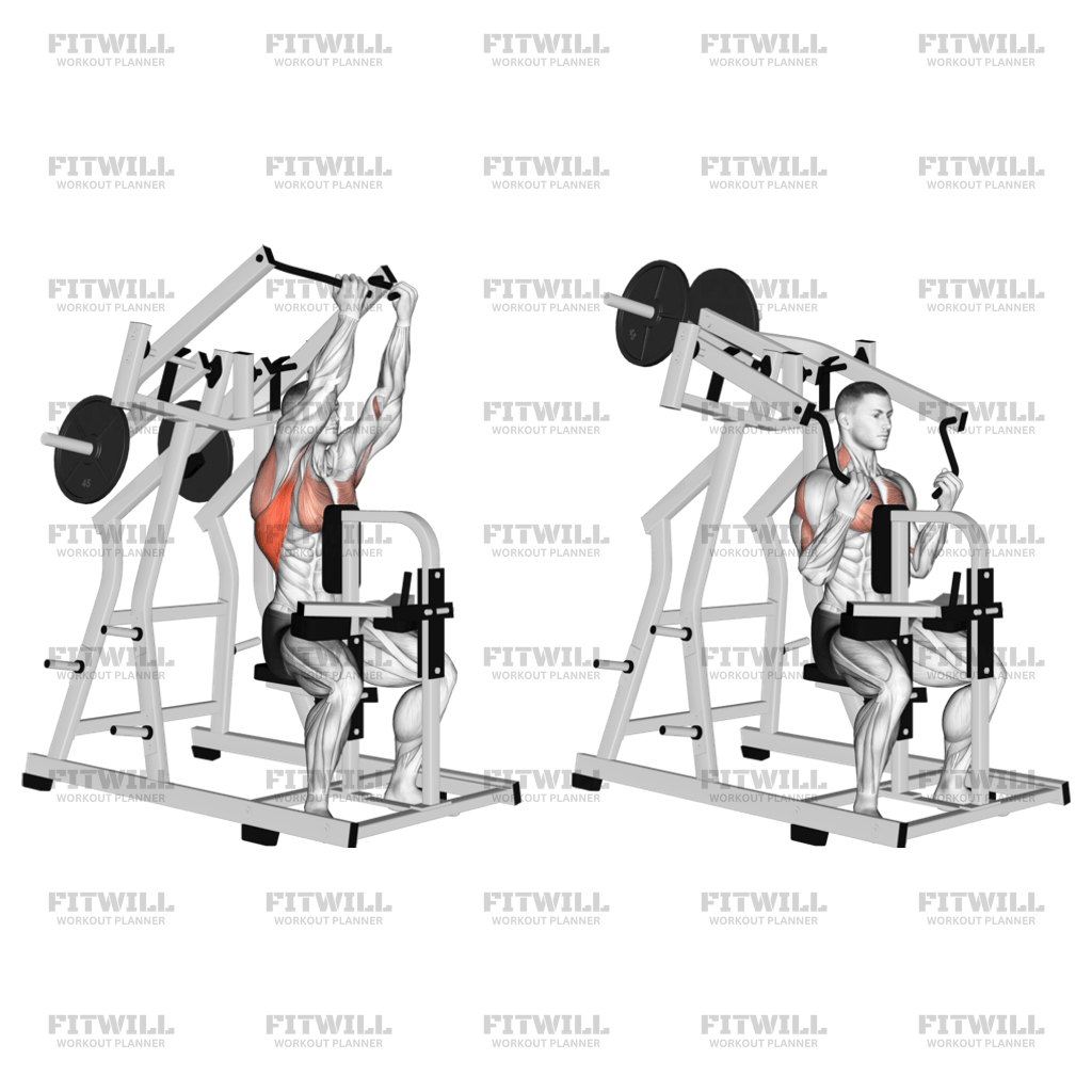 Lever Reverse Grip Lateral Pulldown (plate Loaded): Exercise Guide ...
