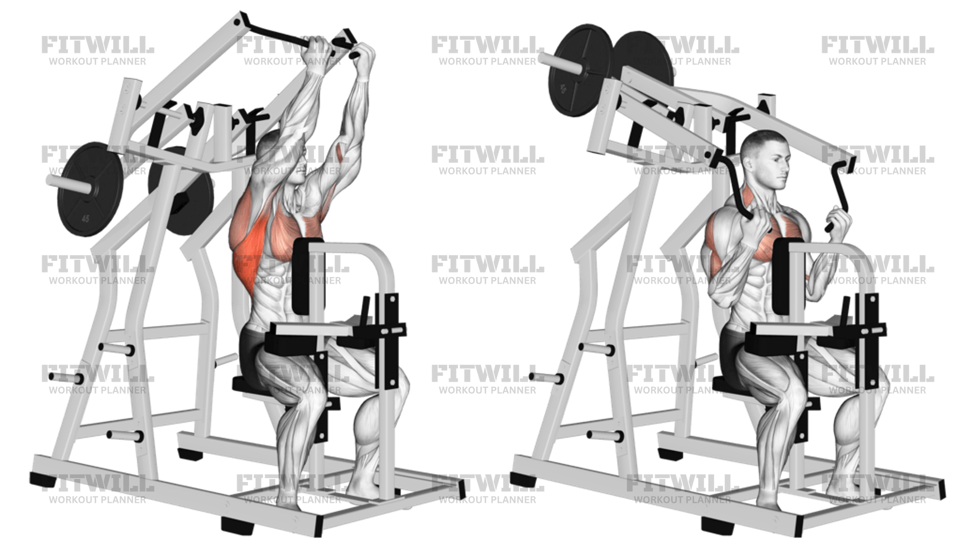 Lever Reverse Grip Lateral Pulldown (plate Loaded): Exercise Guide, Video, Techniques, Benefits ...