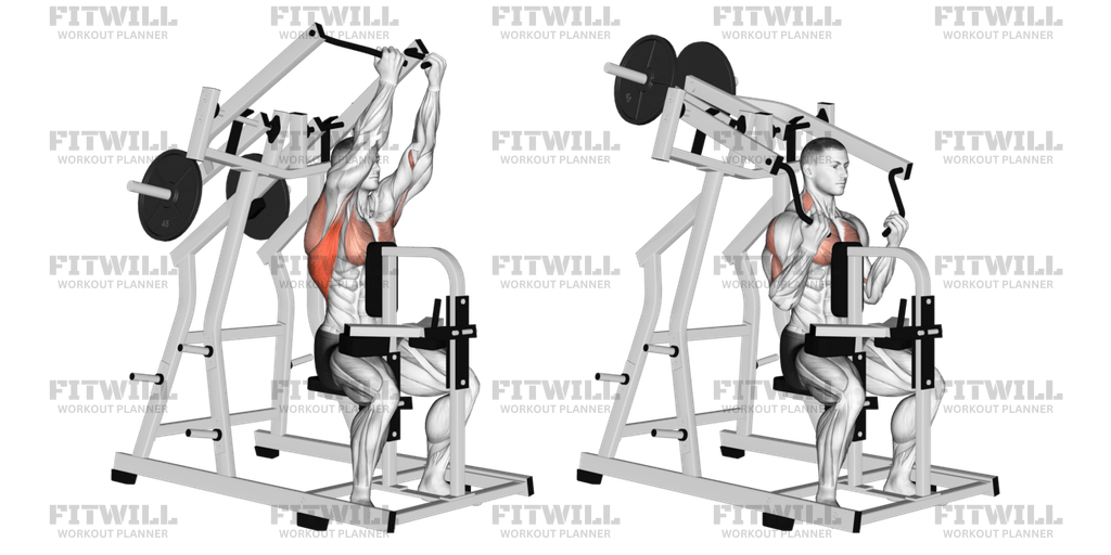 Lever Reverse-Grip Lateral Pulldown Plate Loaded: Exercise Guide, Video ...
