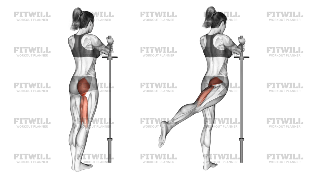 Standing Hip Extension (straight Leg): Exercise Guide, Techniques ...