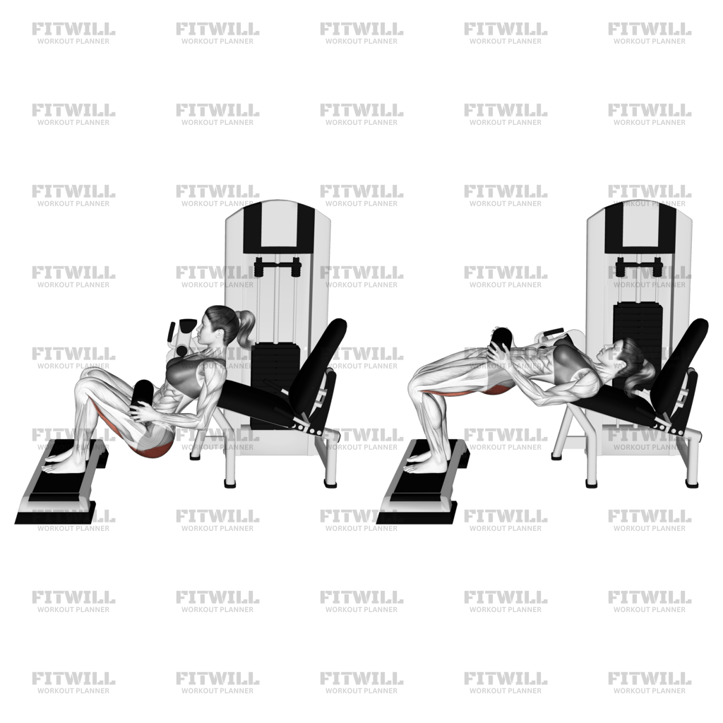 Lever Hip Thrust (with Stepbox) (VERSION 2): Guia de Exercício ...