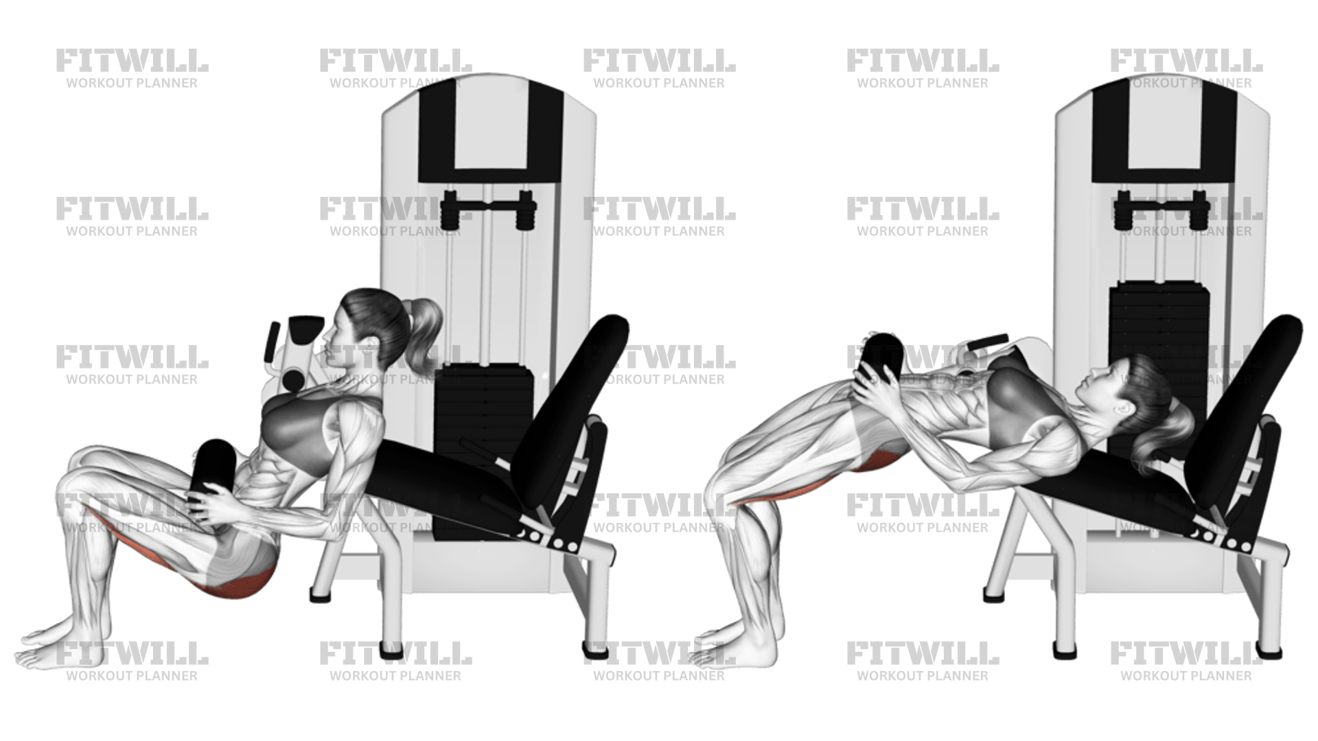 Empuje De Cadera Con Palanca (VERSIÓN 2): Guía de Ejercicios, Técnicas, Beneficios, Cómo ...