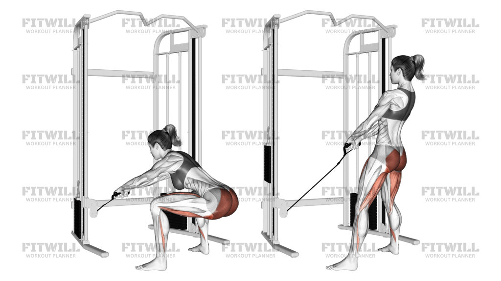 Cable Standing Hip Thrust: Exercise Guide, Video, Techniques, Benefits ...