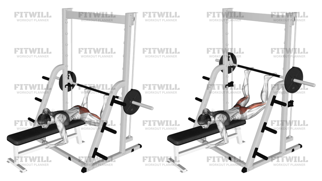 Smith Reverse Hyperextension: Exercise Guide, Techniques, Benefits, How ...