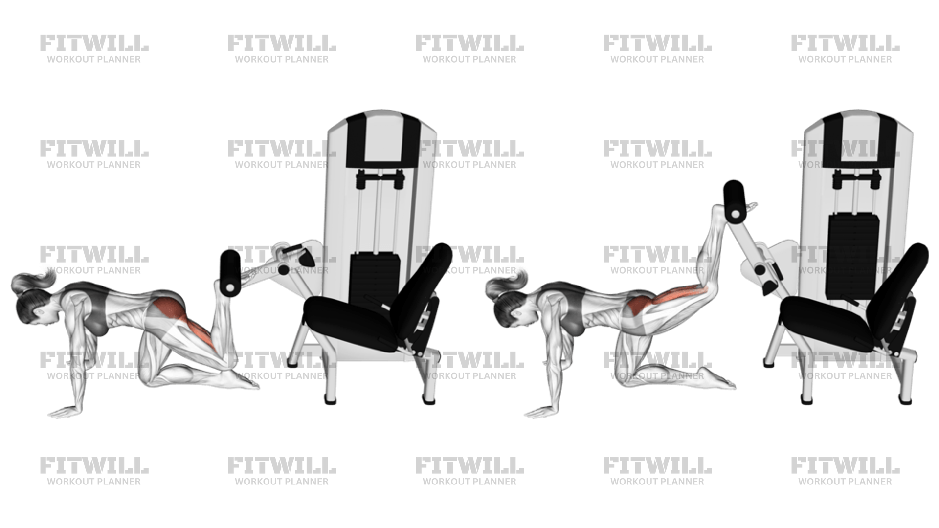 Hiperextensión Inversa En Posición De Rodillas Con Palanca: Guía de ...