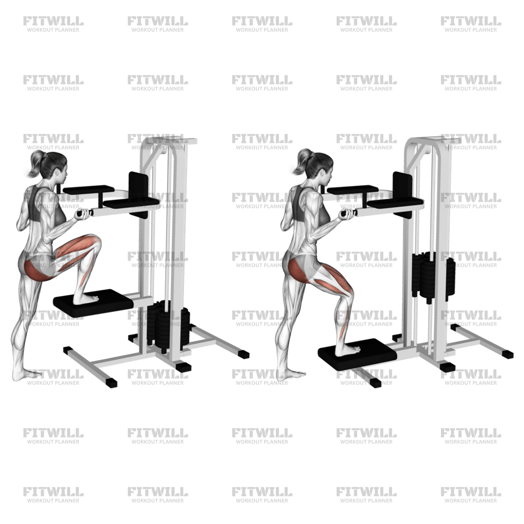 Lever Assisted Leg Press: Exercise Guide, Techniques, Benefits, How to ...