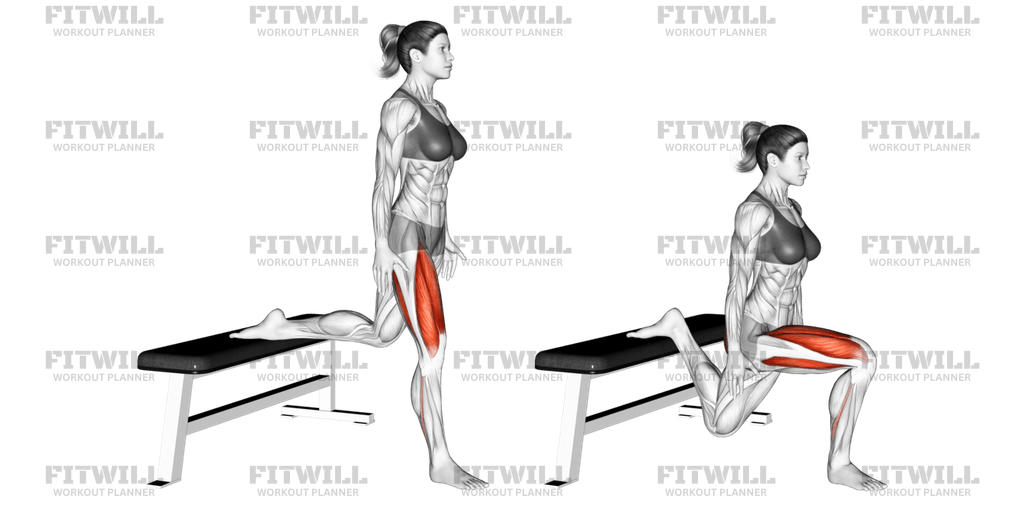 Split Squat: Exercise Guide, Video, Techniques, Benefits, How to ...