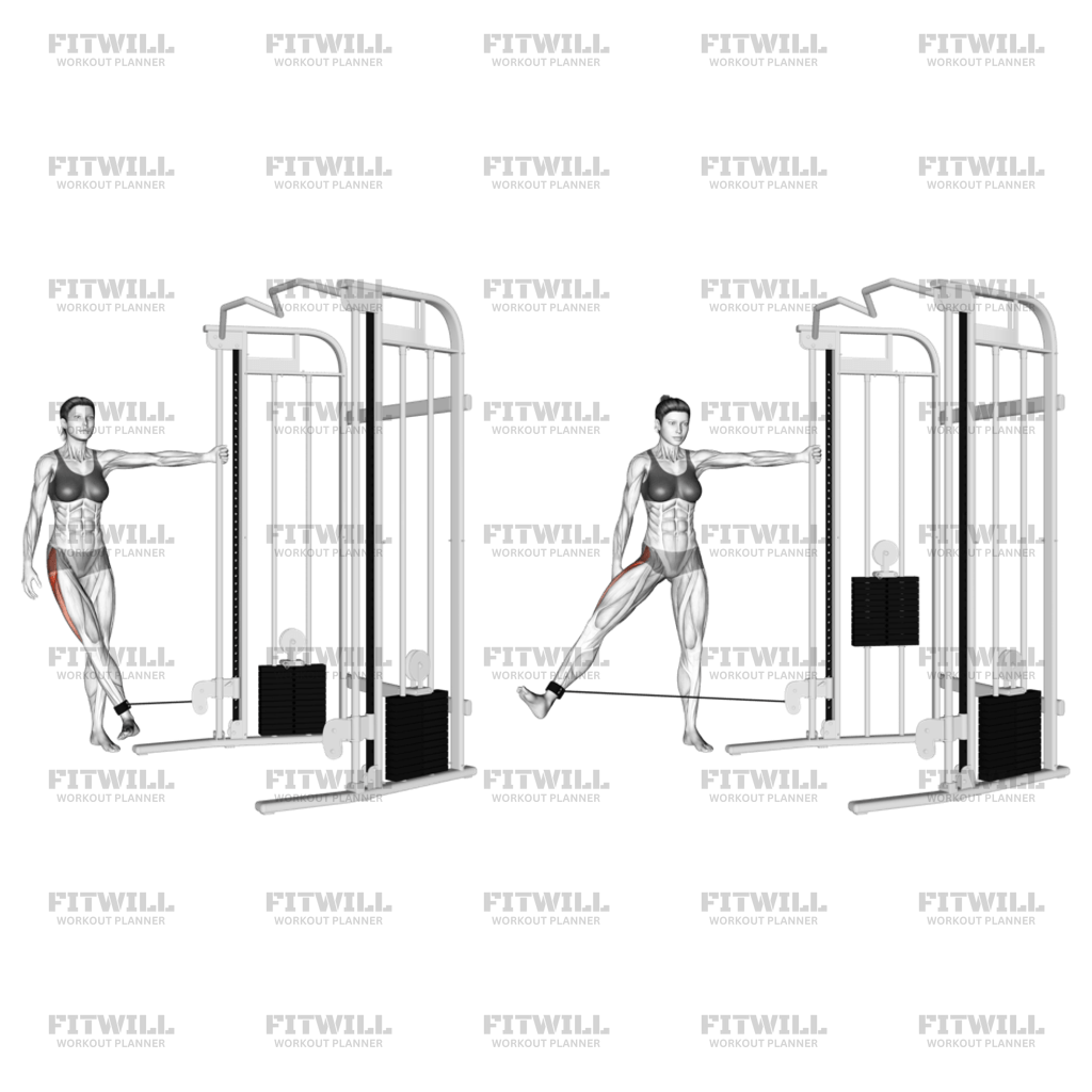 Cable Hip Abduction (toe Out): Exercise Guide, Techniques, Benefits ...