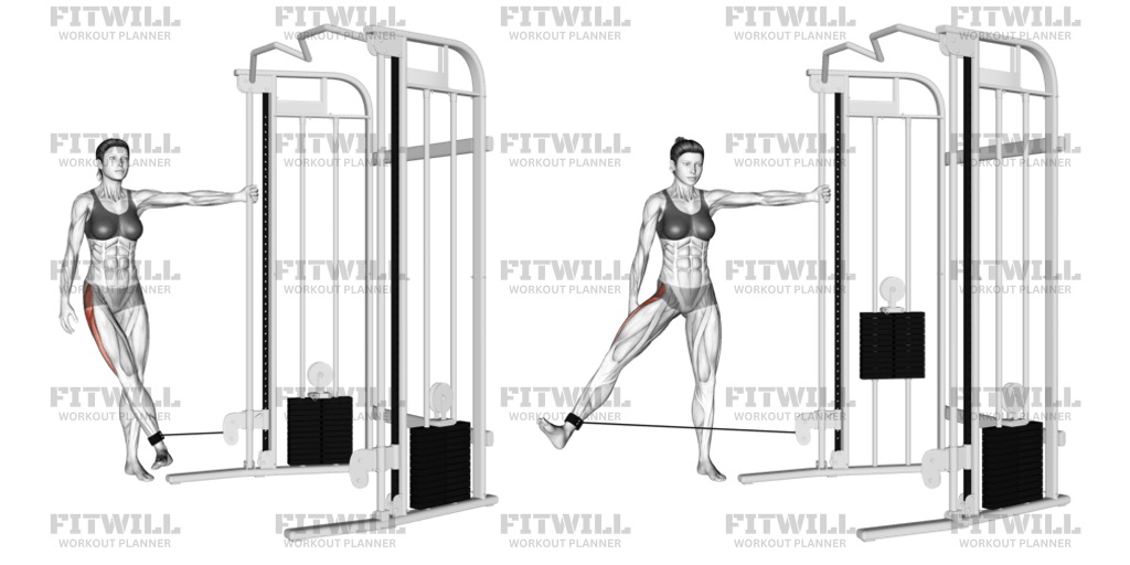 Cable Hip Abduction (toe Out): Exercise Guide, Techniques, Benefits ...