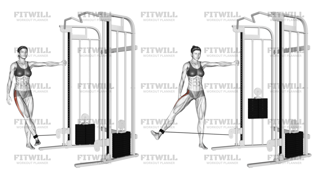 Cable Hip Abduction (toe Out): Exercise Guide, Techniques, Benefits ...