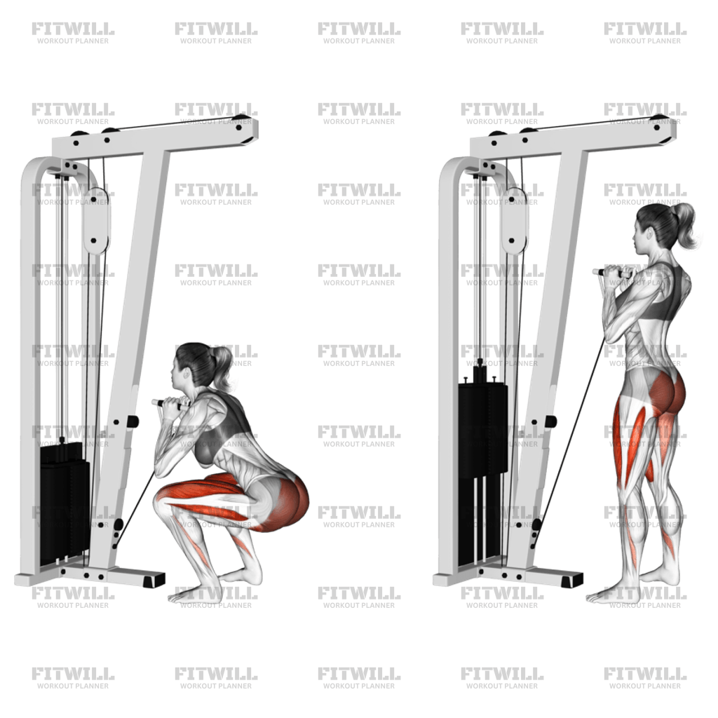 Levantamento Com Cabo (Cable Stand-Up): Guia de Exercício, Técnicas ...