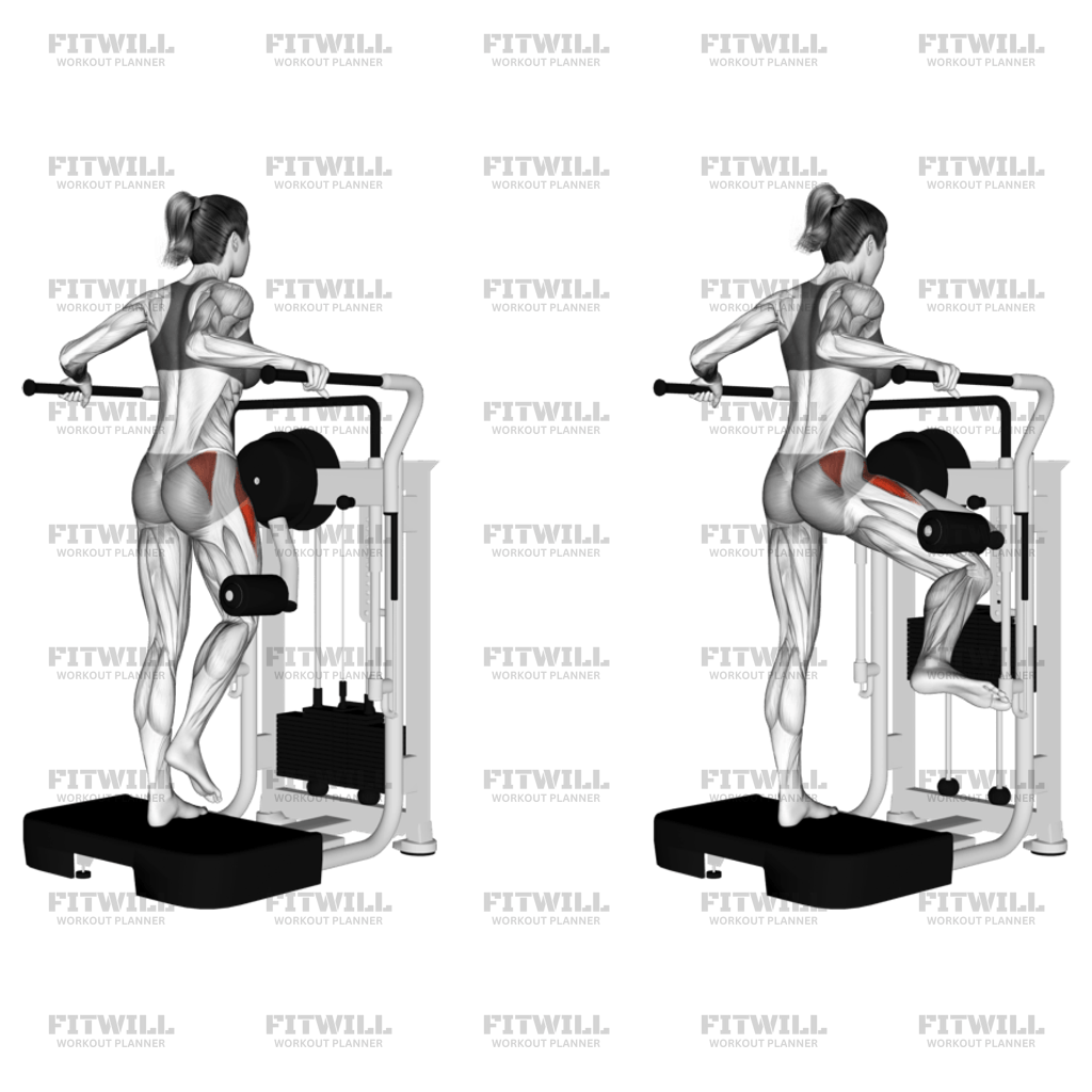 Lever Side Hip Abduction: Exercise Guide, Video, Techniques, Benefits ...