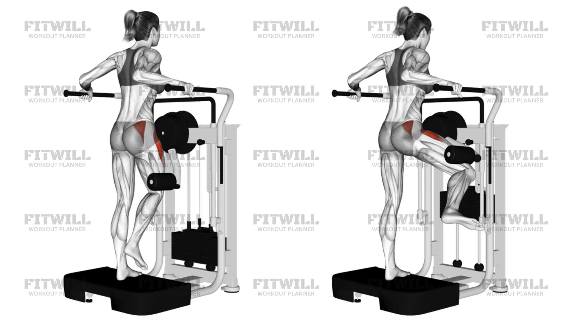 Lever Side Hip Abduction: Exercise Guide, Video, Techniques, Benefits ...