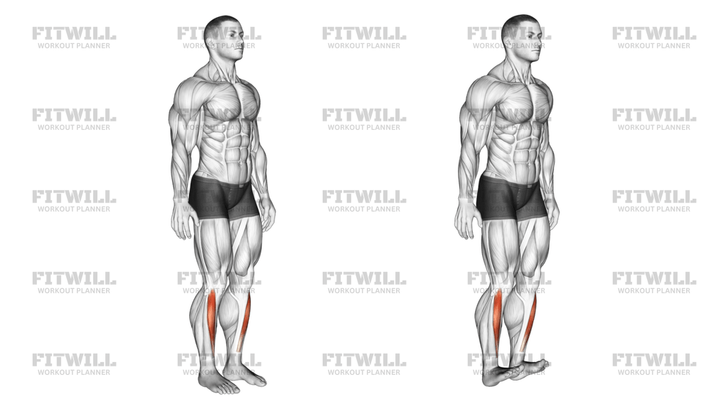 Ankle - Dorsal Flexion: Exercise Guide, Video, Techniques, Benefits ...
