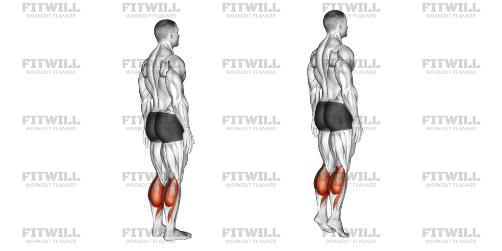 Ankle - Plantar Flexion - Articulations: Exercise Guide, Video ...
