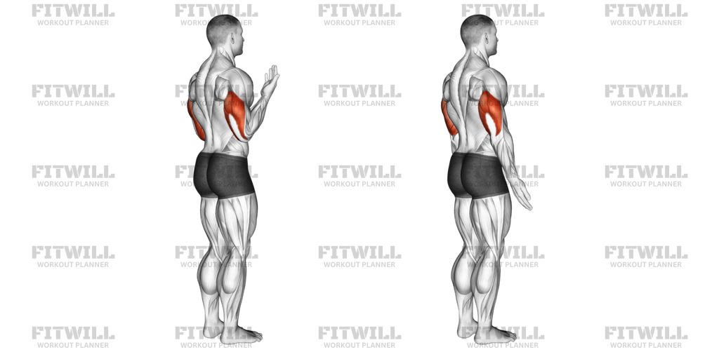 Extensión Del Codo - Articulaciones: Guía de Ejercicios, Video ...