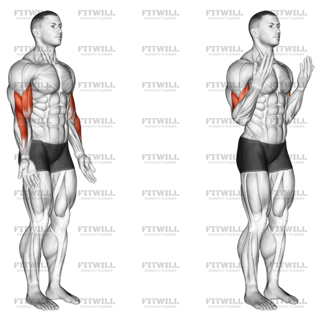 Elbow - Flexion - Articulations: Exercise Guide, Video, Techniques ...