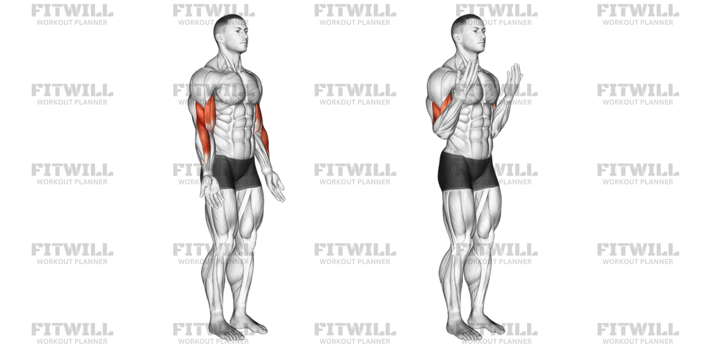 Elbow - Flexion - Articulations: Exercise Guide, Video, Techniques ...