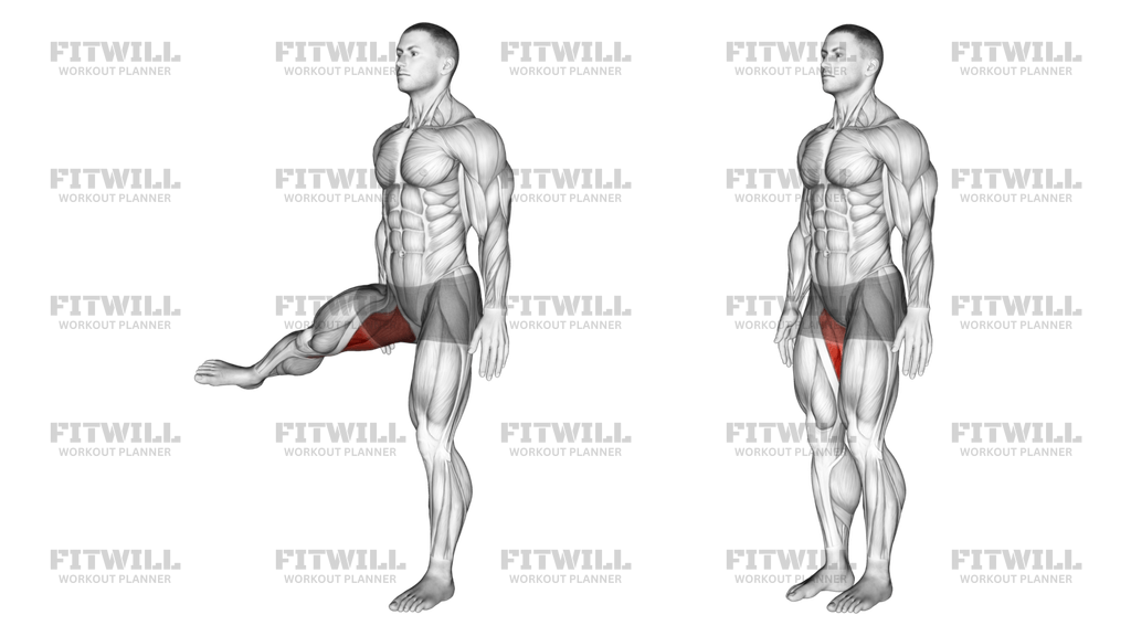 Aducción De Cadera - Articulaciones: Guía de Ejercicios, Video ...