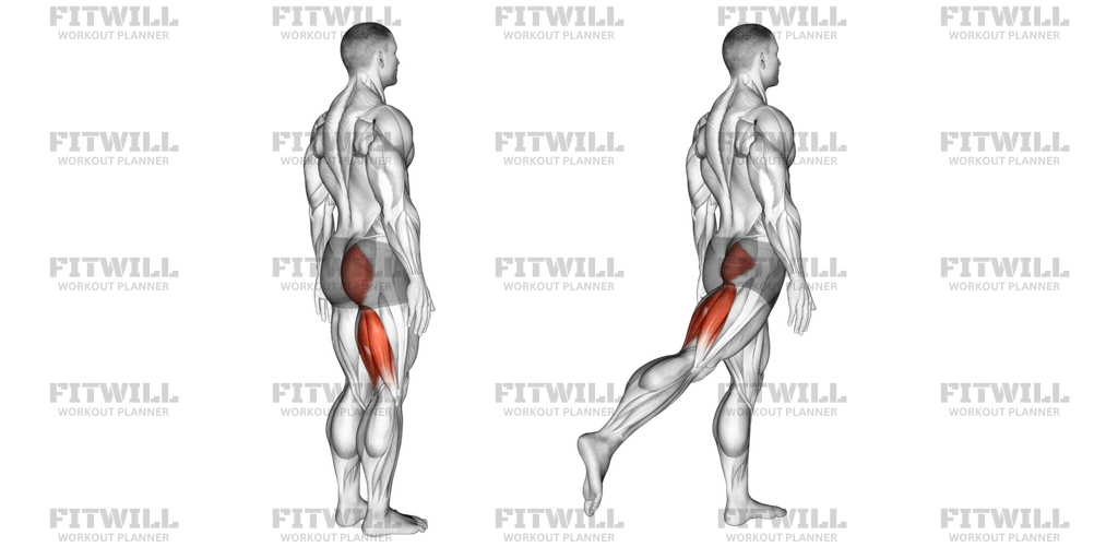 Hip - Extension - Articulations: Exercise Guide, Video, Techniques ...