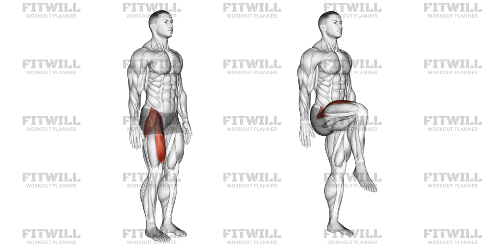 Hip - Flexion - Articulations: Exercise Guide, Video, Techniques ...