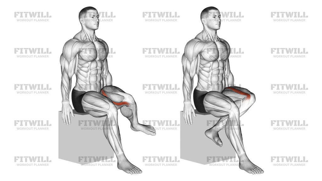 Hip - Lateral Rotation (External Rotation) - Articulations: Exercise ...