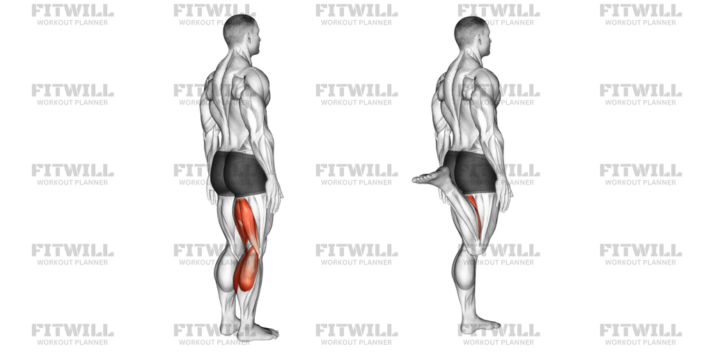 Flexión De Rodilla - Articulaciones: Guía de Ejercicios, Video ...