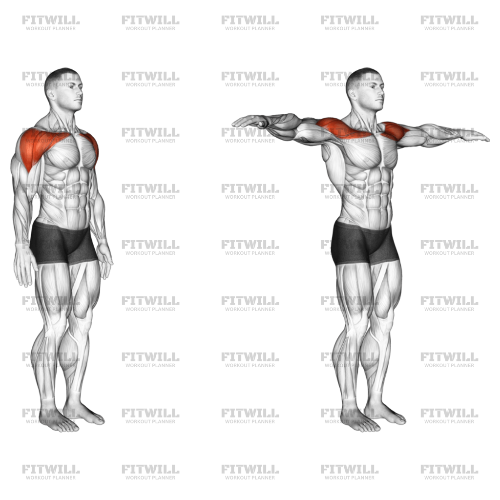 Shoulder - Abduction - Articulations: Exercise Guide, Video, Techniques ...