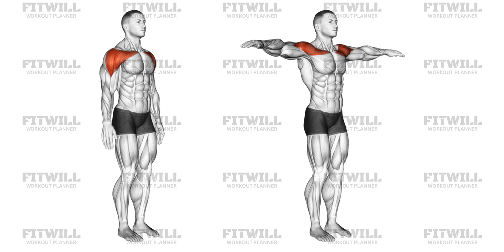 Shoulder - Abduction - Articulations: Exercise Guide, Video, Techniques ...