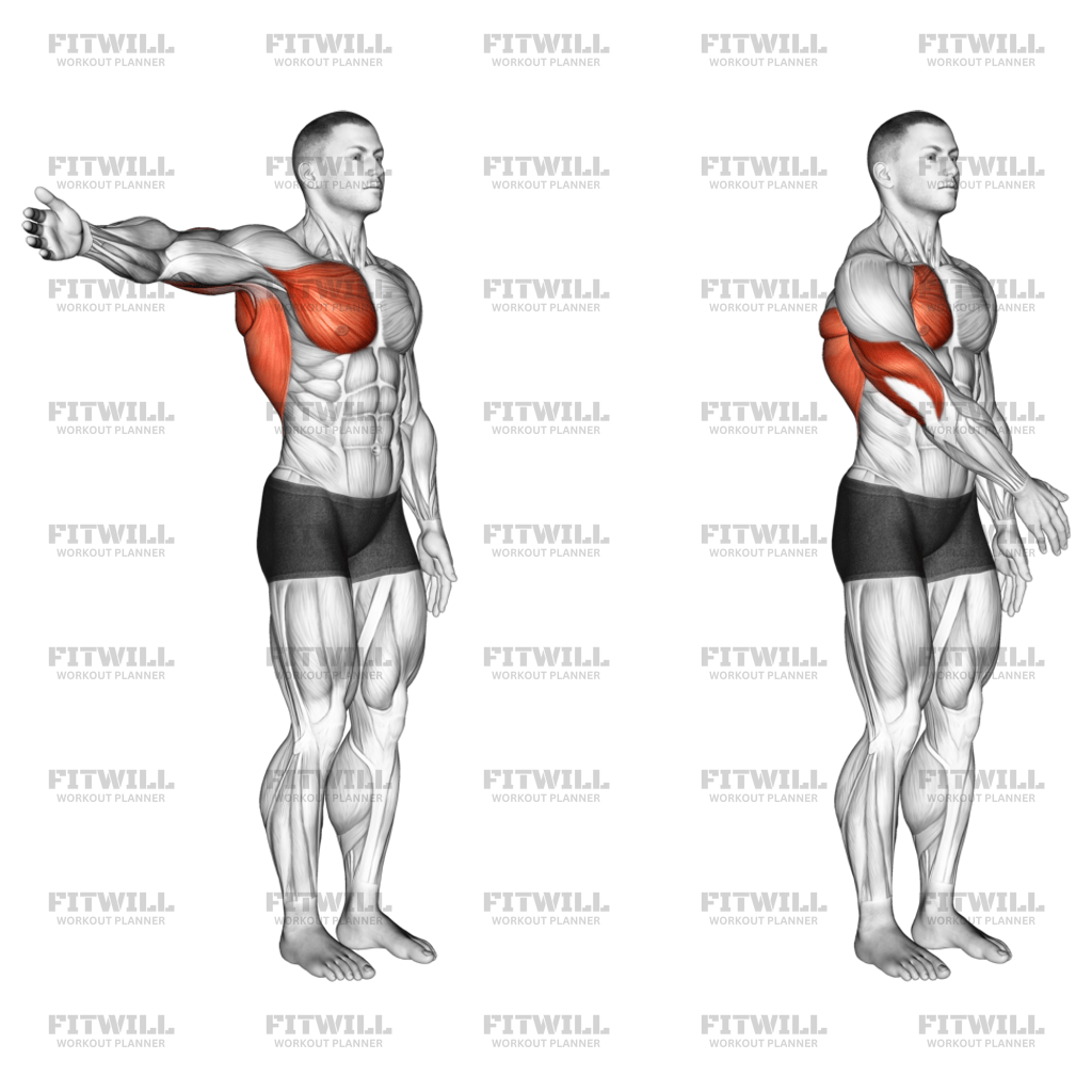 Shoulder - Adduction - Articulations: Exercise Guide, Video, Techniques ...