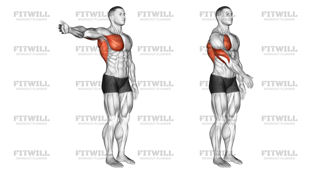 Hombro - Aducción - Articulaciones: Guía de Ejercicios, Video, Técnicas ...