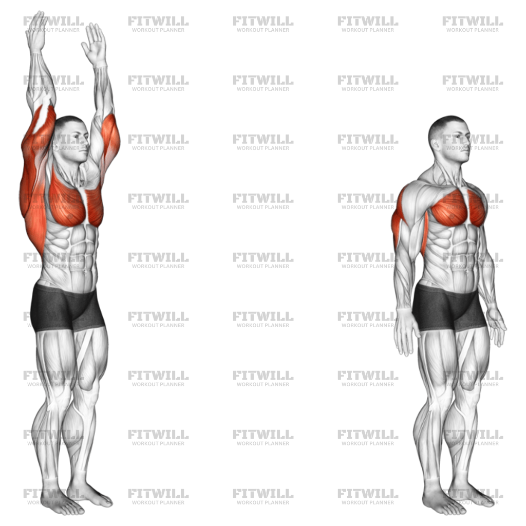 Shoulder - Extension - Articulations: Exercise Guide, Video, Techniques ...