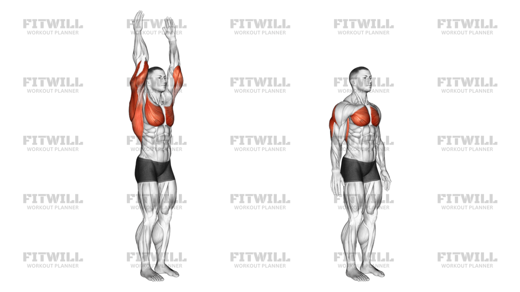 Shoulder - Extension - Articulations: Exercise Video | Fitwill