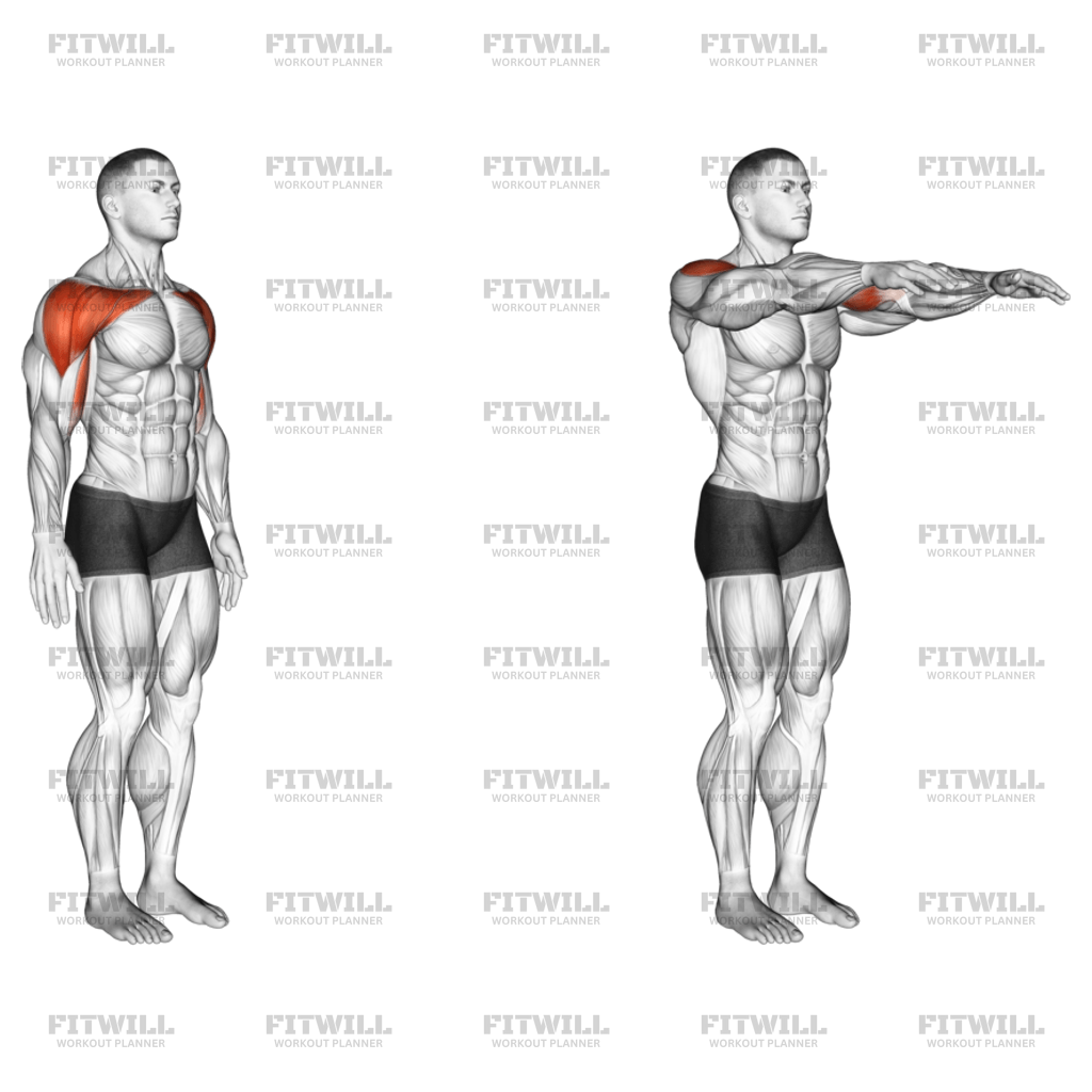Shoulder - Flexion - Articulations: Exercise Guide, Video, Techniques ...
