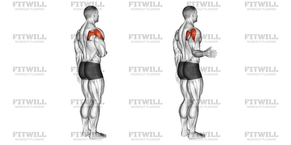 Shoulder - Lateral Rotation (External Rotation) - Articulations ...