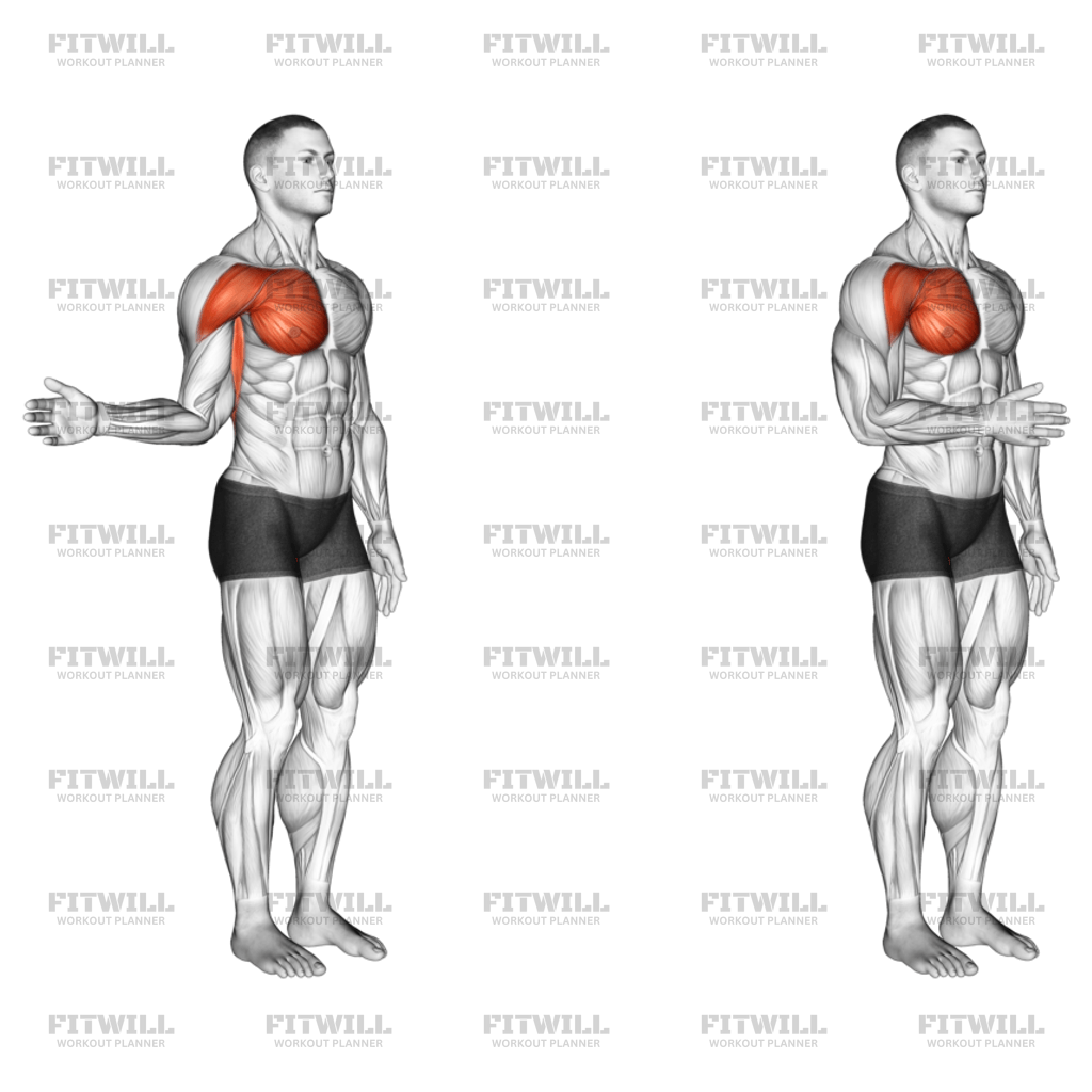 Shoulder - Medial Rotation (Internal Rotation) - Articulations ...