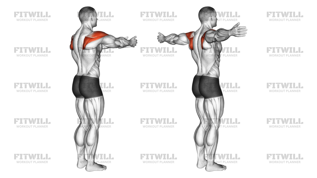Shoulder - Transverse Abduction - Articulations: Exercise Guide, Video ...