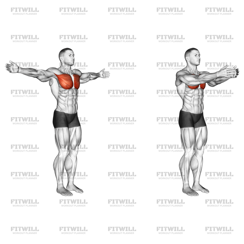 Shoulder - Transverse Adduction - Articulations: Exercise Guide, Video ...