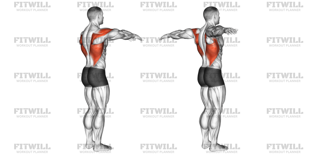Shoulder - Transverse Extension - Articulations: Exercise Video | Fitwill