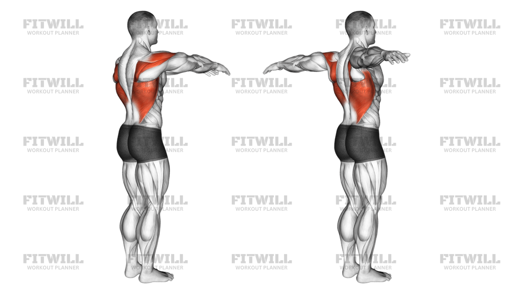 How to do Shoulder - Transverse Extension - Articulations: Techniques ...
