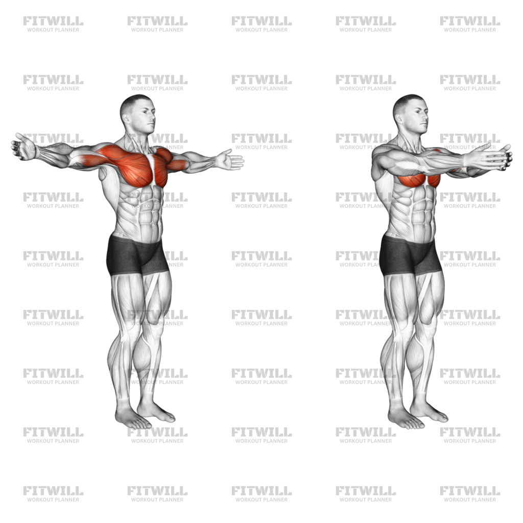 Shoulder - Transverse Flexion - Articulations: Exercise Guide, Video ...