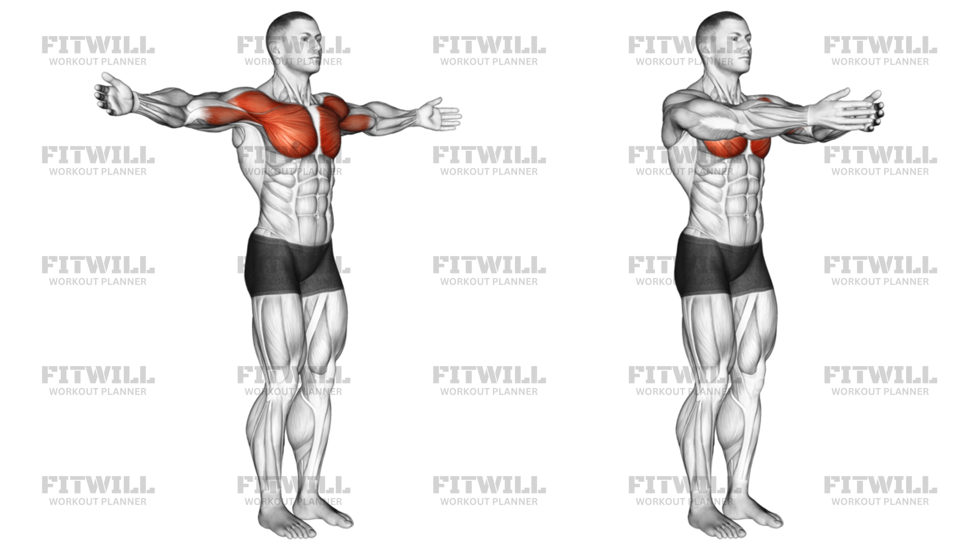 Shoulder Transverse Flexion Articulations Exercise Guide Video