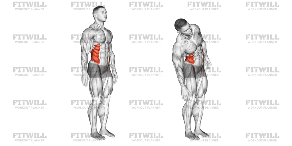 Spine (Lumbar) - Lateral Flexion - Articulations: Exercise Guide, Video ...