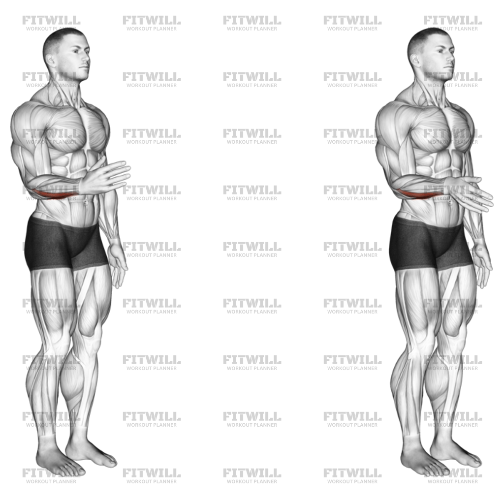 Wrist Adduction Articulations: Exercise Guide, Video, Techniques ...