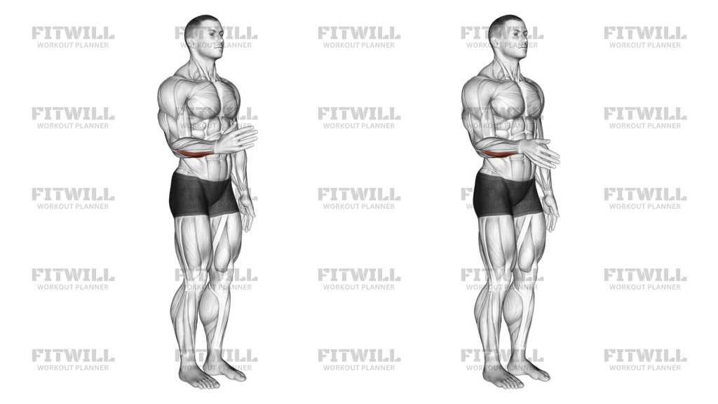 Wrist Adduction Articulations: Exercise Guide, Video, Techniques ...