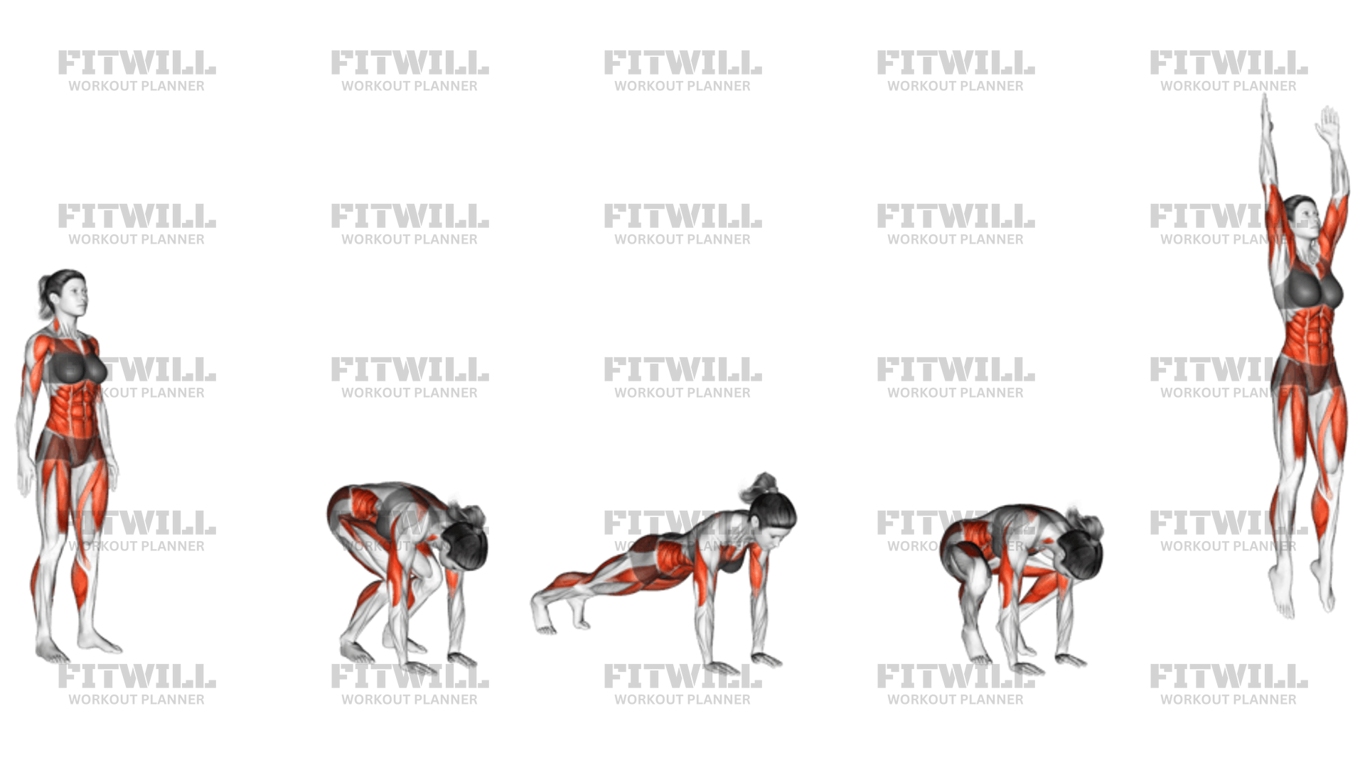 Burpee (female): Guide, Techniques, Benefits, How to, Muscles Worked ...