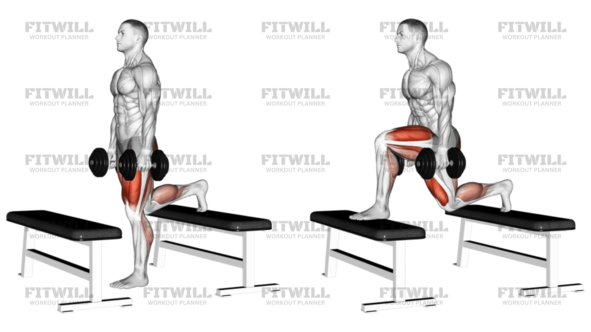 Dumbbell Step-up Lunge: Exercise Guide, Techniques, Benefits, How to ...